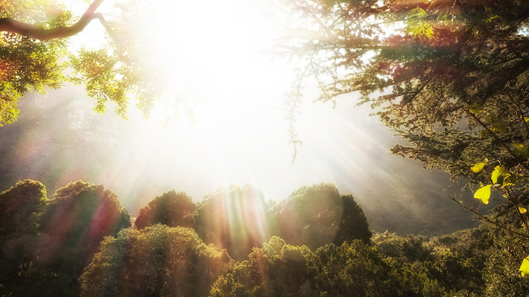 Spiritual Healing And Coaching Soul Readings Energy Mastery With Elena